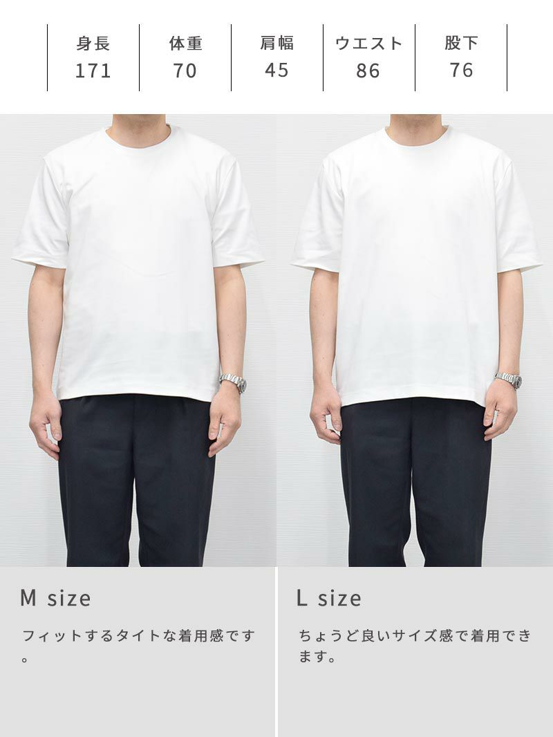 レギュラーフィットスムースTシャツ | DCOLLECTION (ディー レギュラーフィットスムースTシャツ | DCOLLECTION (ディー